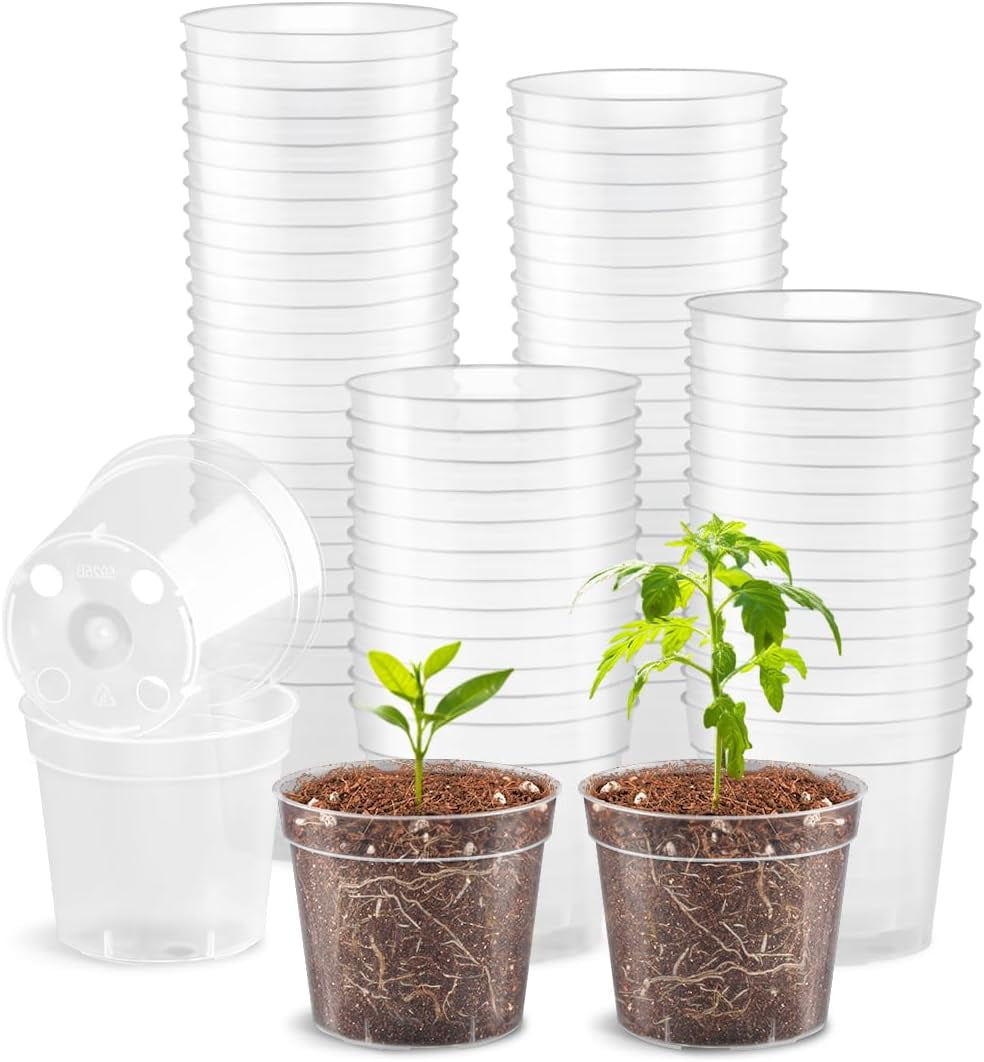 2.5" Clear Seeding Pots 100- Round for Seeds Starter Pots, Seeds ...