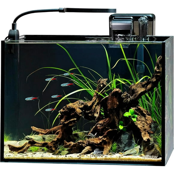 2 5 Gallon Fish Tank