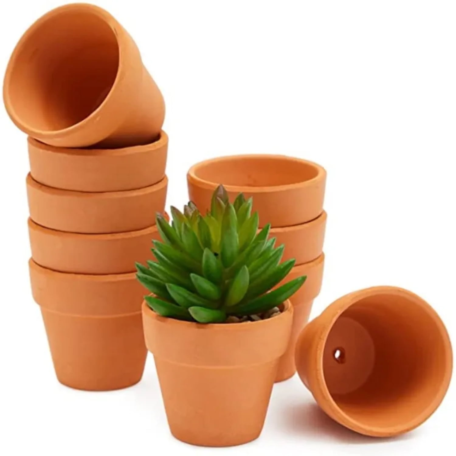 2.5 Inch 10 Pack Terracotta Planter Pots with Drainage Holes Small Clay ...
