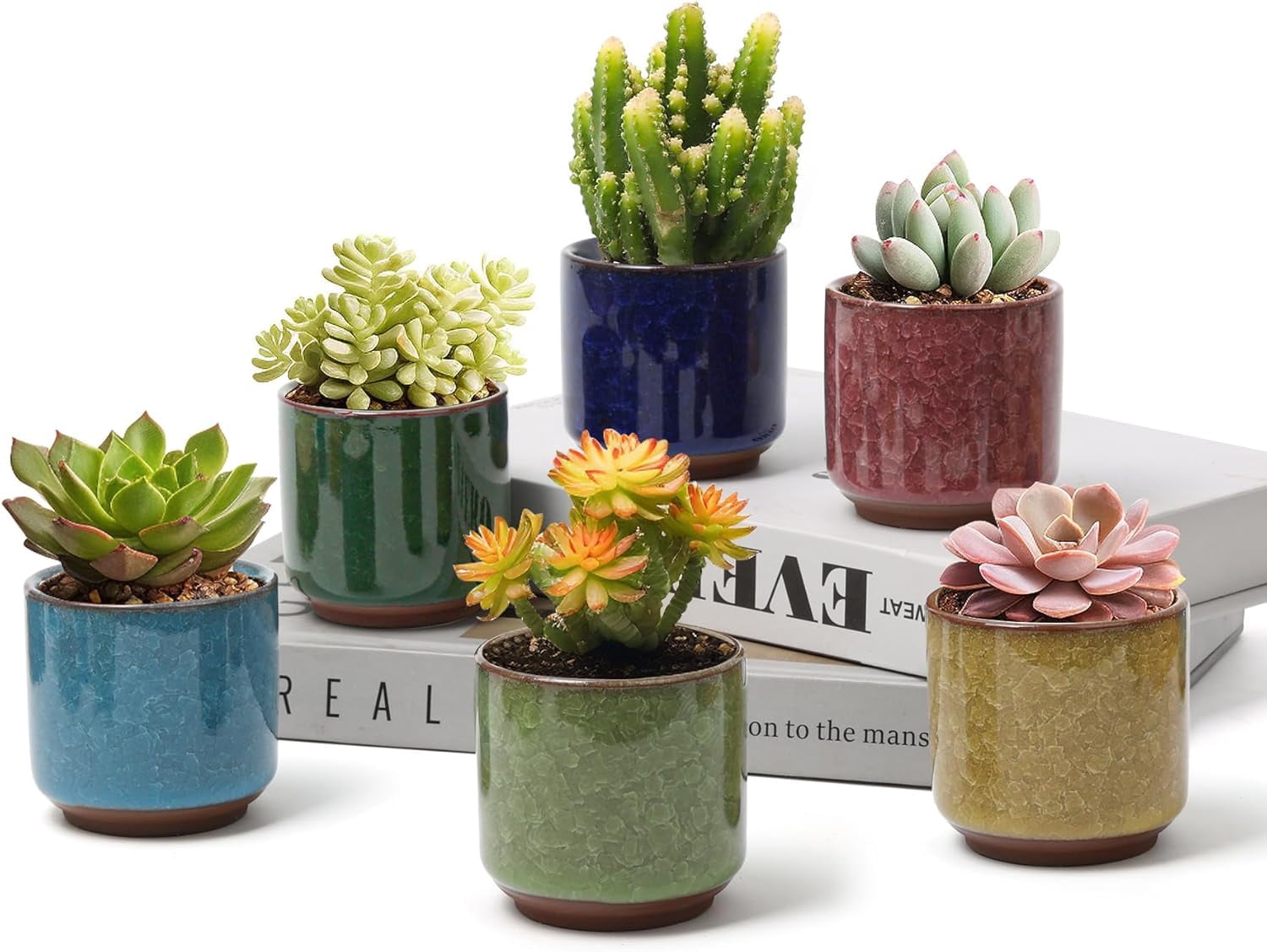 2.5 Inch Small Ceramic Succulent Planter Pot with Drainage Hole , Ice ...