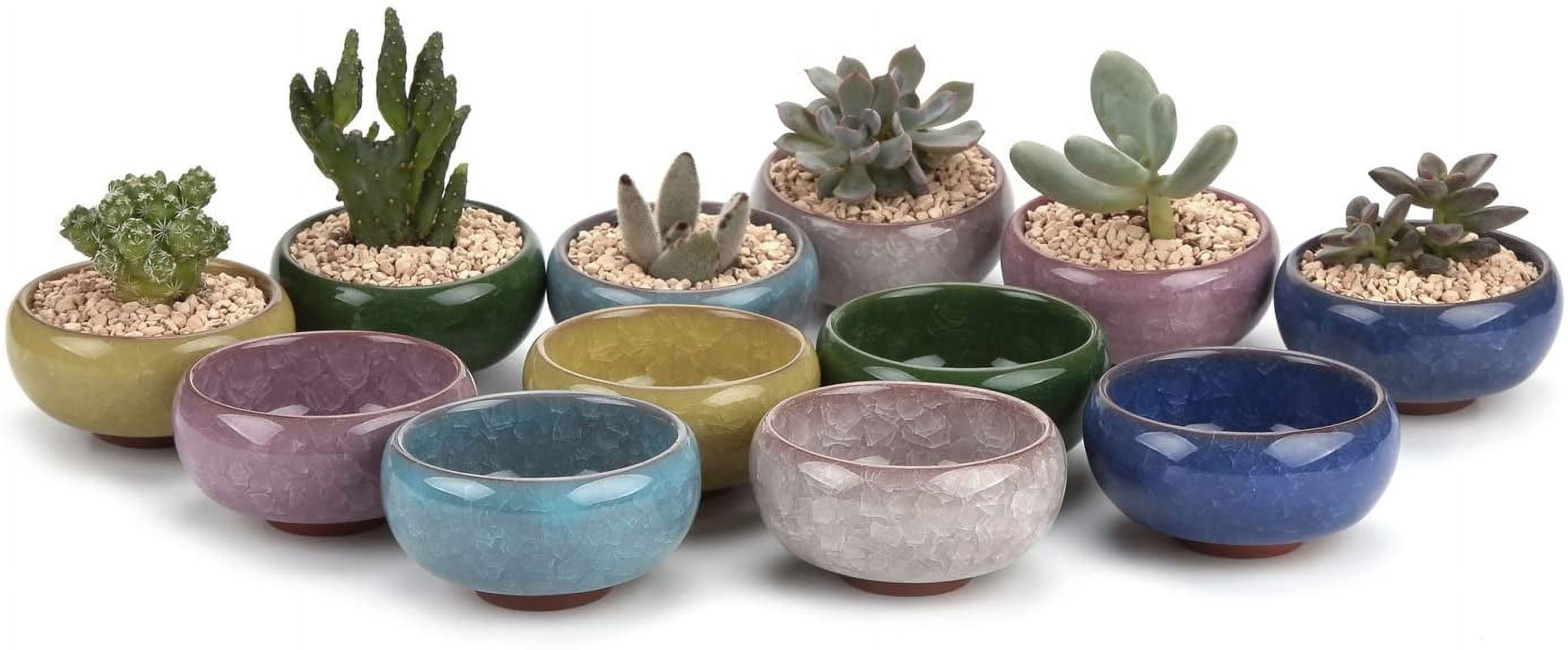 2.5 Inch Small Ceramic Succulent Planter Pots with Drainage Holes, Set ...
