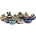 2.5 Inch Small Ceramic Succulent Planter Pots with Drainage Holes, Set ...