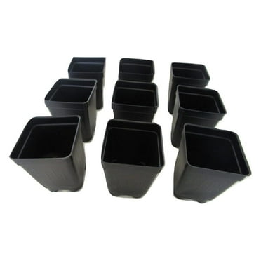 Landmark 8" Mum Pots - Qty. 25 - Walmart.com