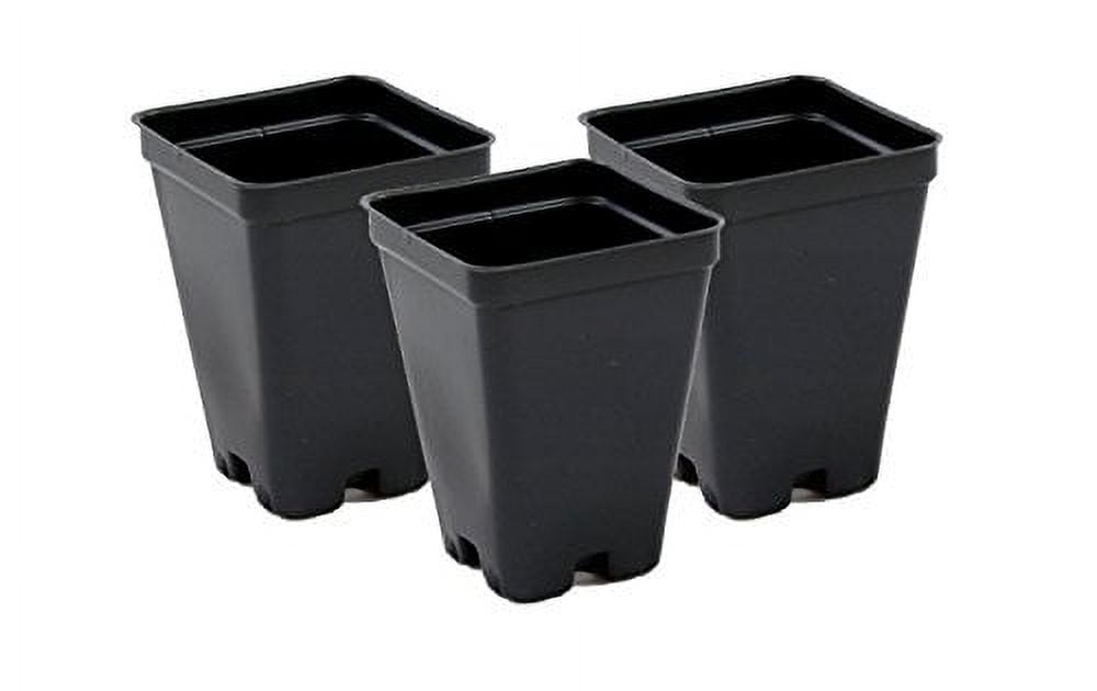 2.5 inch Square Greenhouse Pots - Black - Plastic - Deep - Case of 800 ...