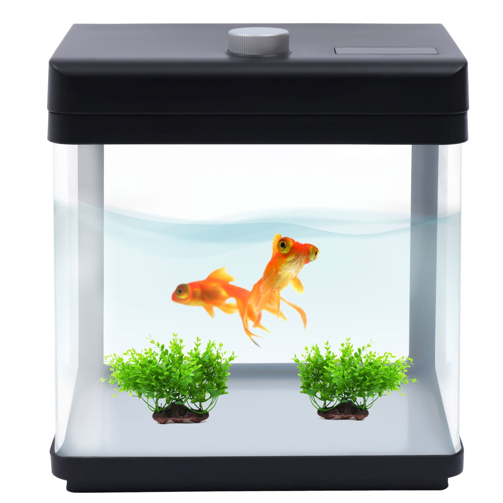 2.5Gallon Aquarium Kit Fish Tank Black Low Noise Bedroom Desktop Fish ...