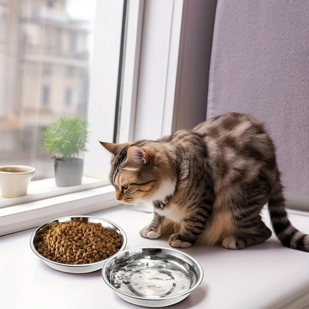 2/6pcs Slip Resistant Stainless Steel Cat Bowl – Low-Profile Wide ...