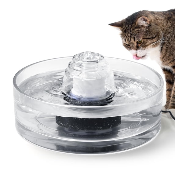 2.7L Glass Pet Fountain Transparent Glass Cat Water Fountain & Little ...