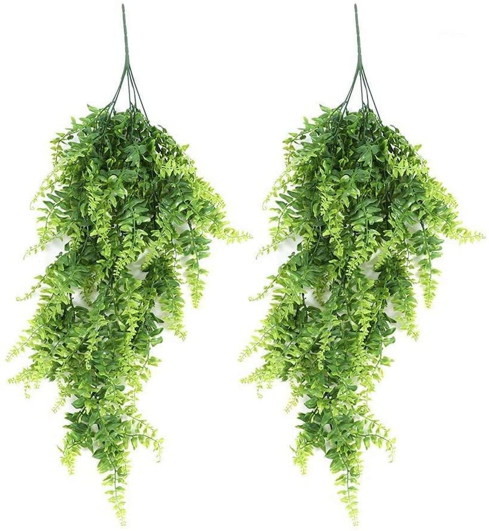 Hanging plants walmart store