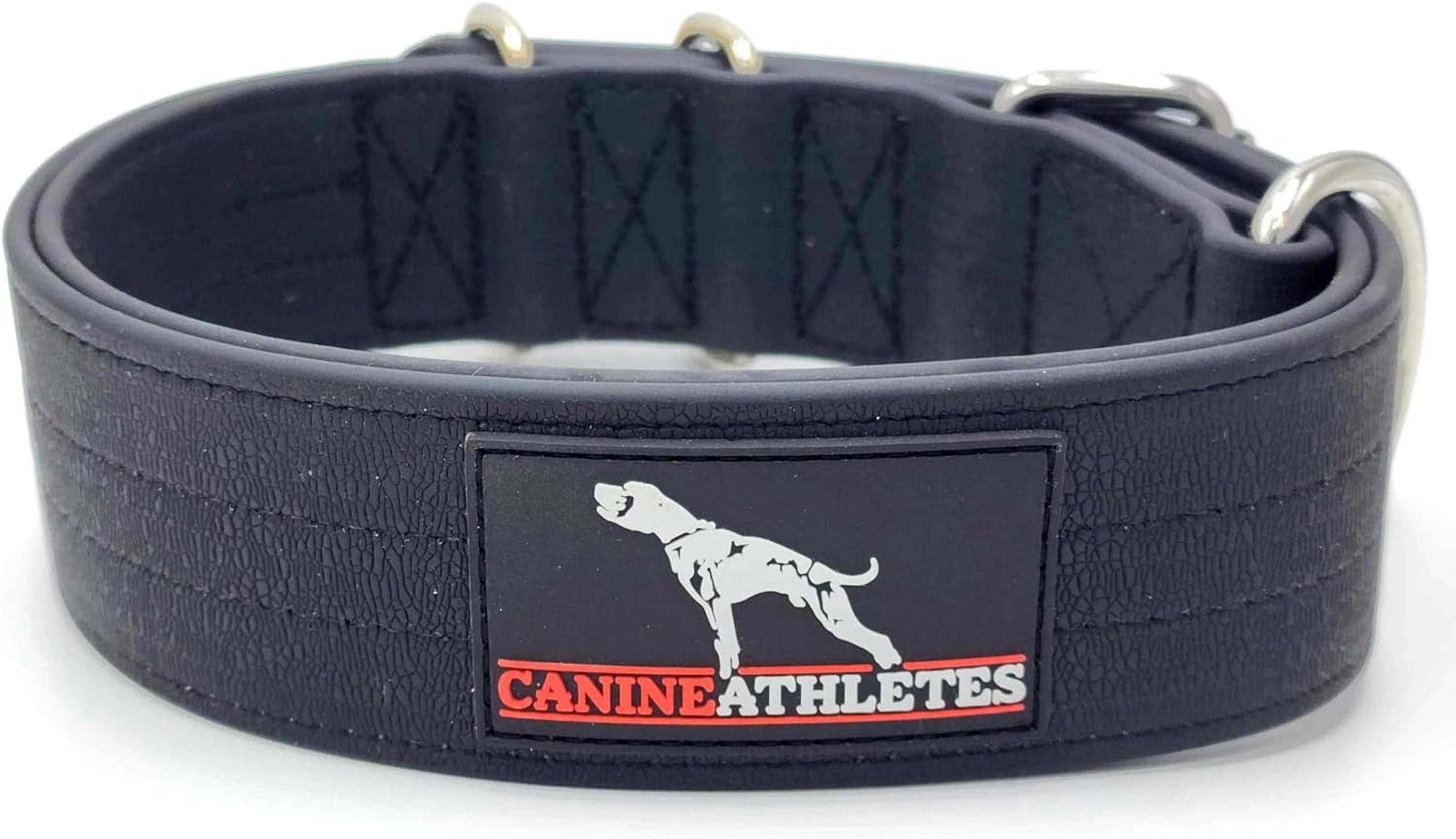 2" AP-Sport Waterproof Extra Strength Double Layered Working Dog Collar ...