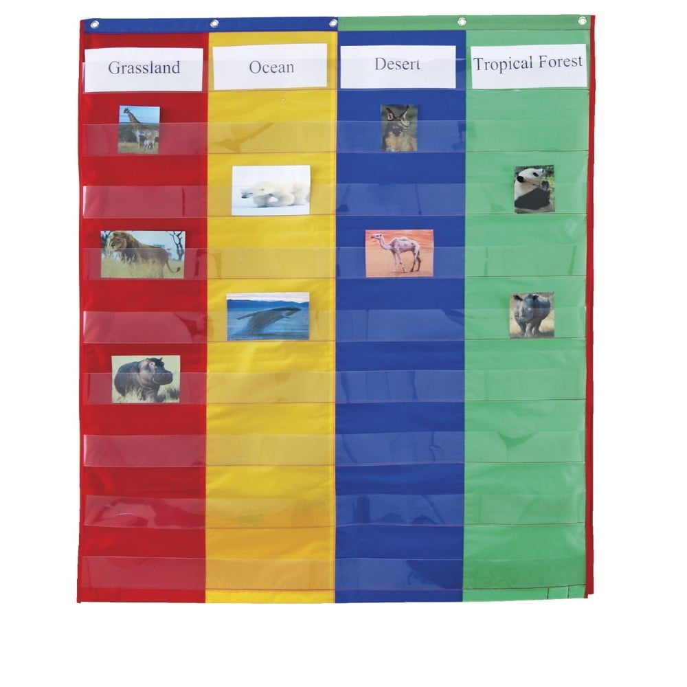 2 And 4 Column Double Sided Pocket Chart - Walmart.com