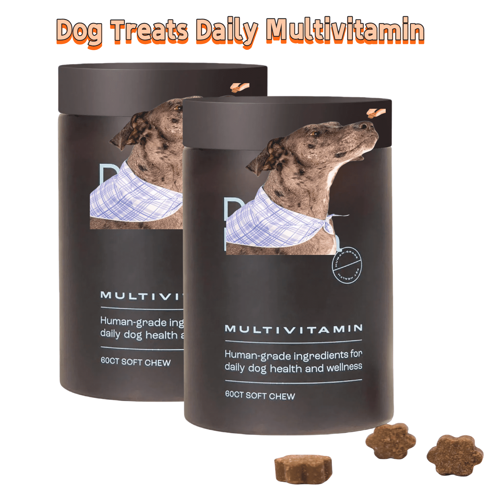 2 Bottles Daily Multivitamin for Cats and Dogs Daily Wellness Dog ...