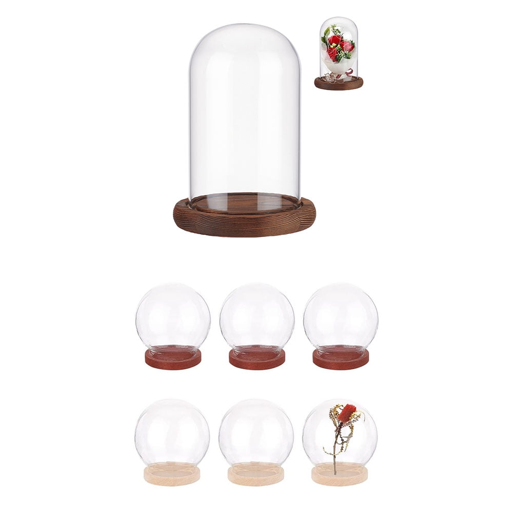 2 Box 6 Pcs Mini Glass Dome 1.57" in Diameter Round Glass Display Dome ...