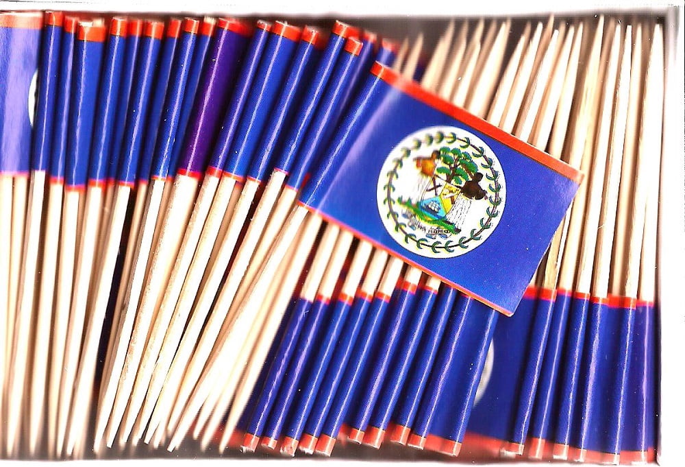 2 Boxes of Mini Belize Toothpick Flags, 200 Small International Flag ...