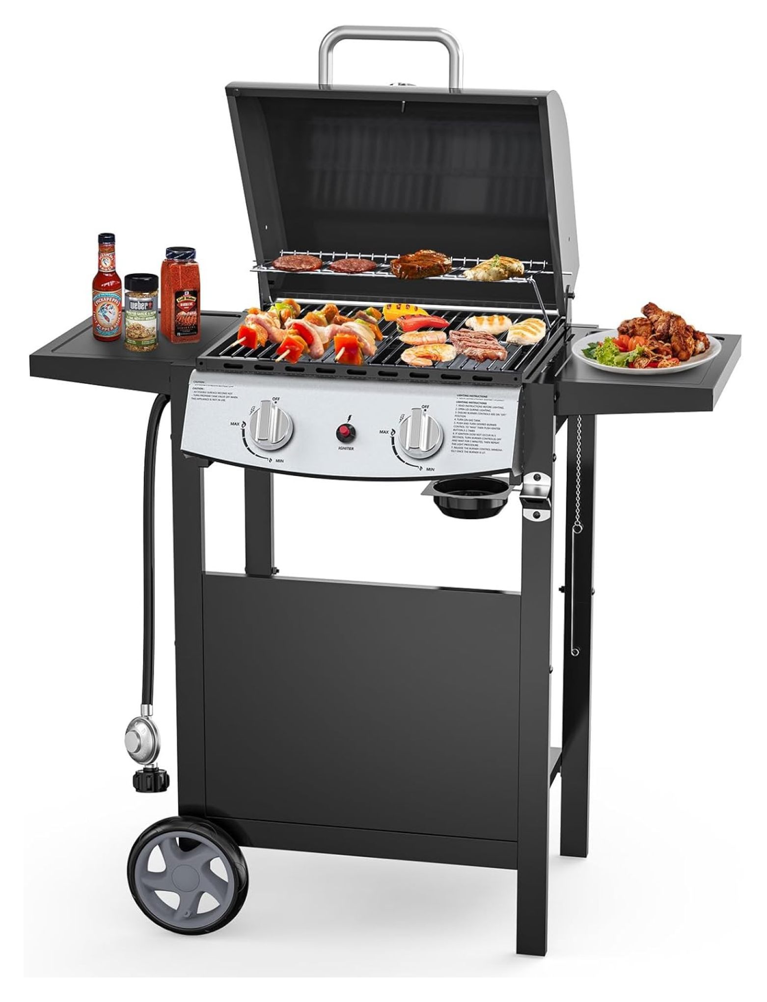 2 Burner BBQ Propane Gas Grill, 20,000 BTU Stainless steel Gas Grill ...