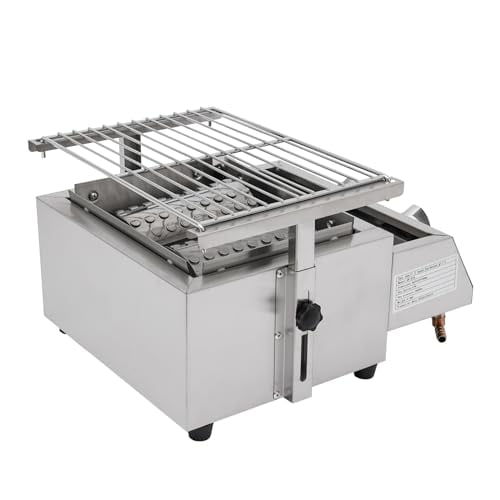 2 Burner Gas BBQ Grill, LPG Stainless Steel Tabletop Propane Gas Grill ...