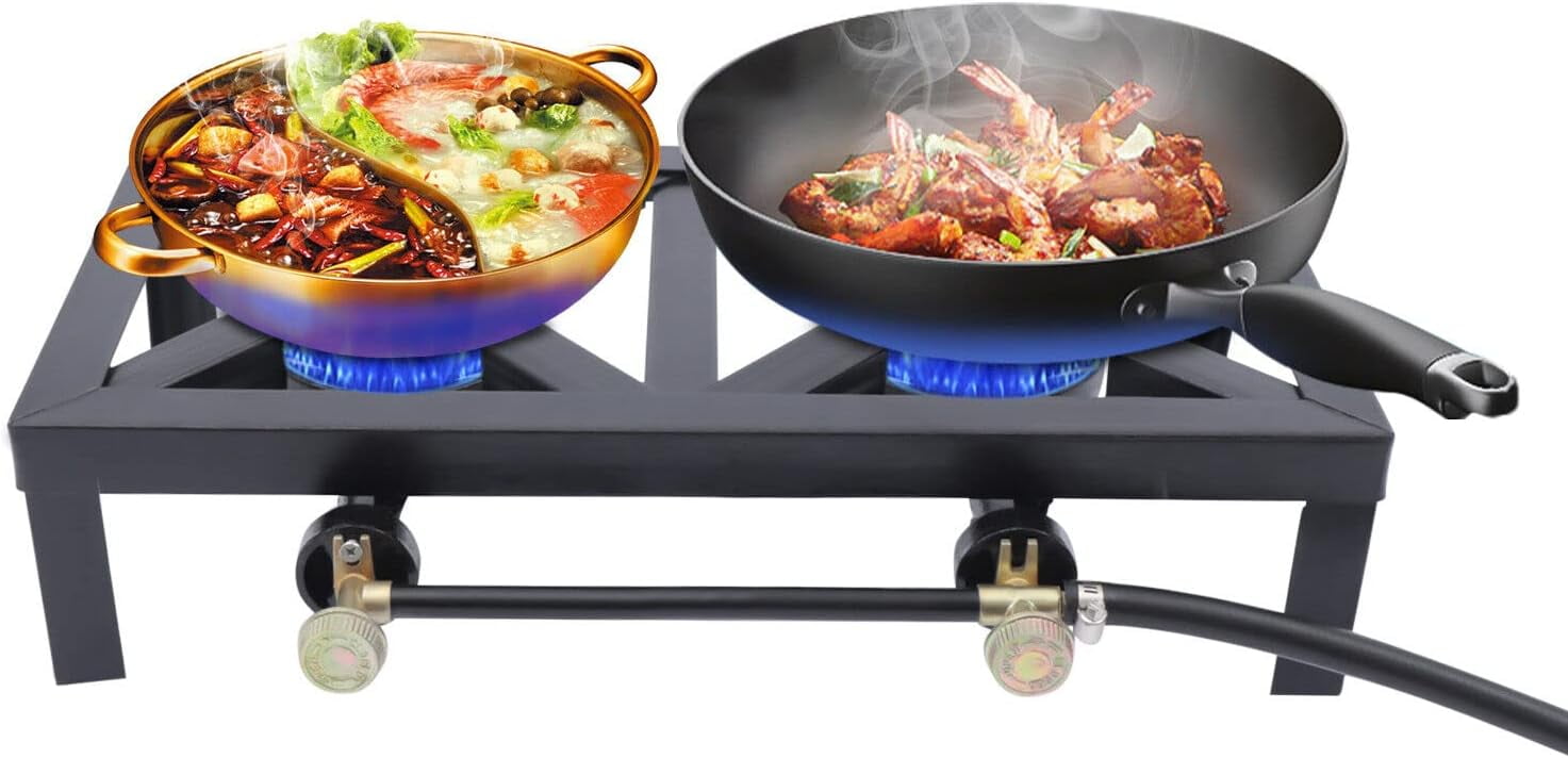 2 Burner Gas Stove, Outdoor Propane Cooker BBQ Camping Hiking Picnic Gas Stove W/Hose, 8000W ...