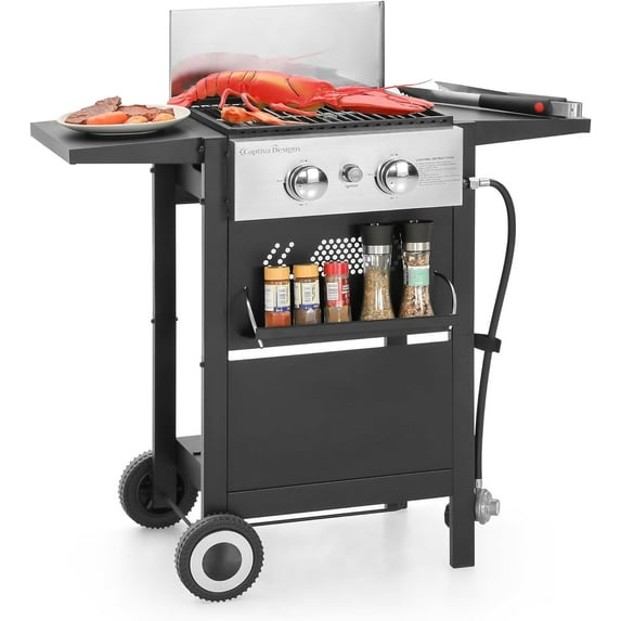 2-Burner Propane Gas BBQ Grill with Cast Iron Griddle Pan, 20,000 BTU ...