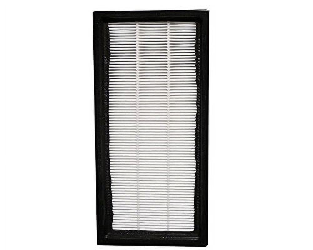 (2) Compatible with Hoover Powermax Widepath HEPA w/activated Charcoal ...