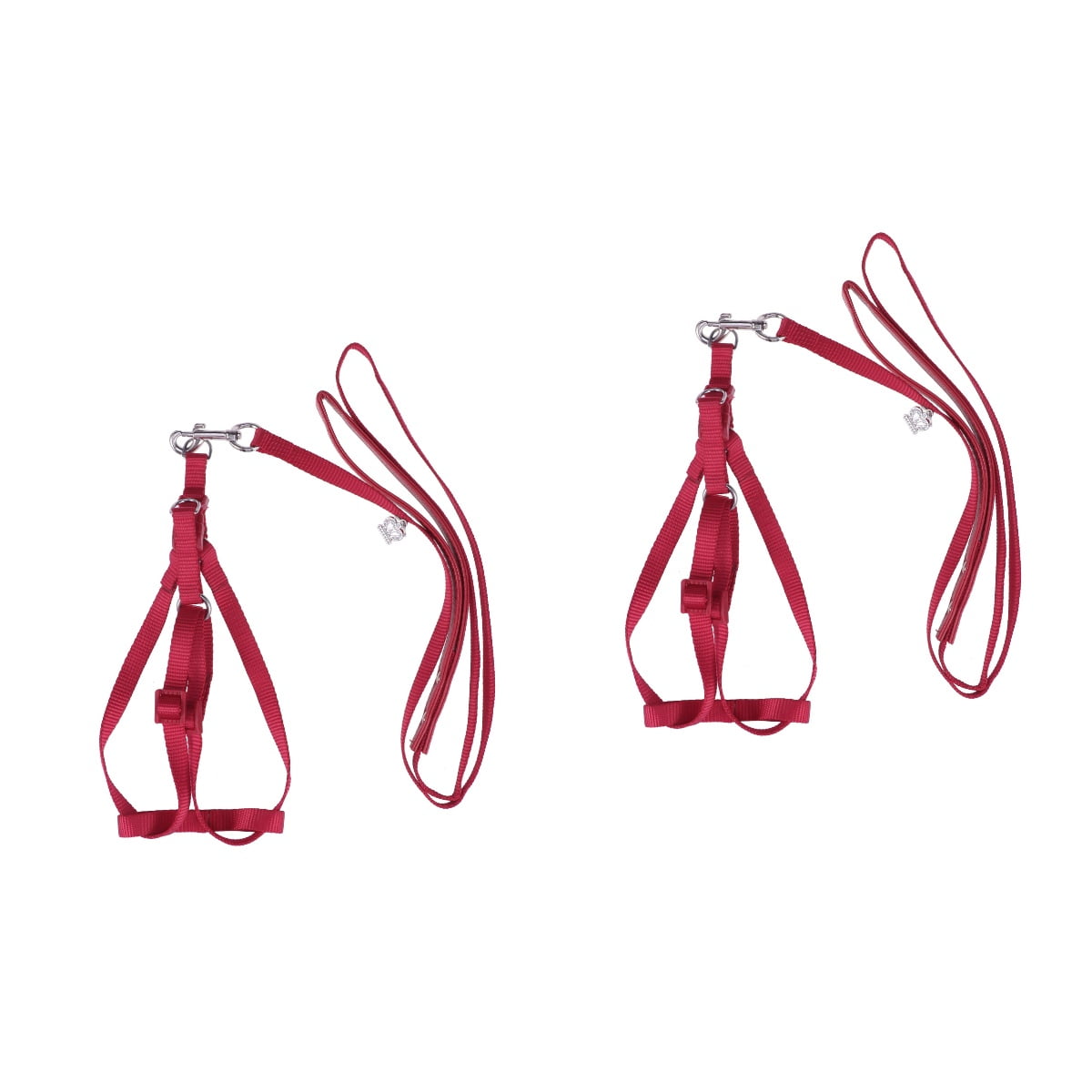 2 Count Leash Parrot Harness for Children Collar Calopsitas Birds ...