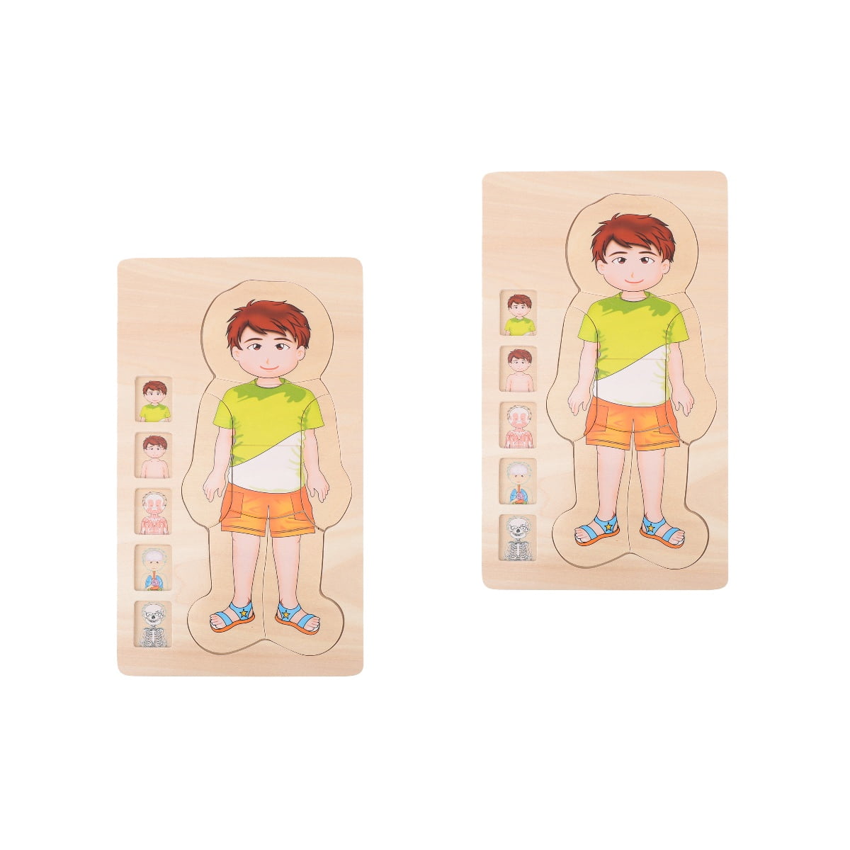 2 Count Multilayer Puzzle Early Educational Toy Human Body Structure ...