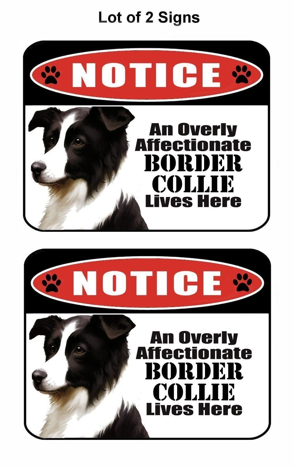 2 Count Notice an Overly Affectionate Border Collie Lives Here 9 inch x ...