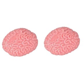 Squishy Brain