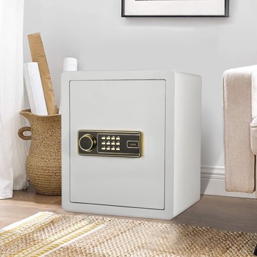 SentrySafe Portable Security Safe, SENPL048E - Walmart.com