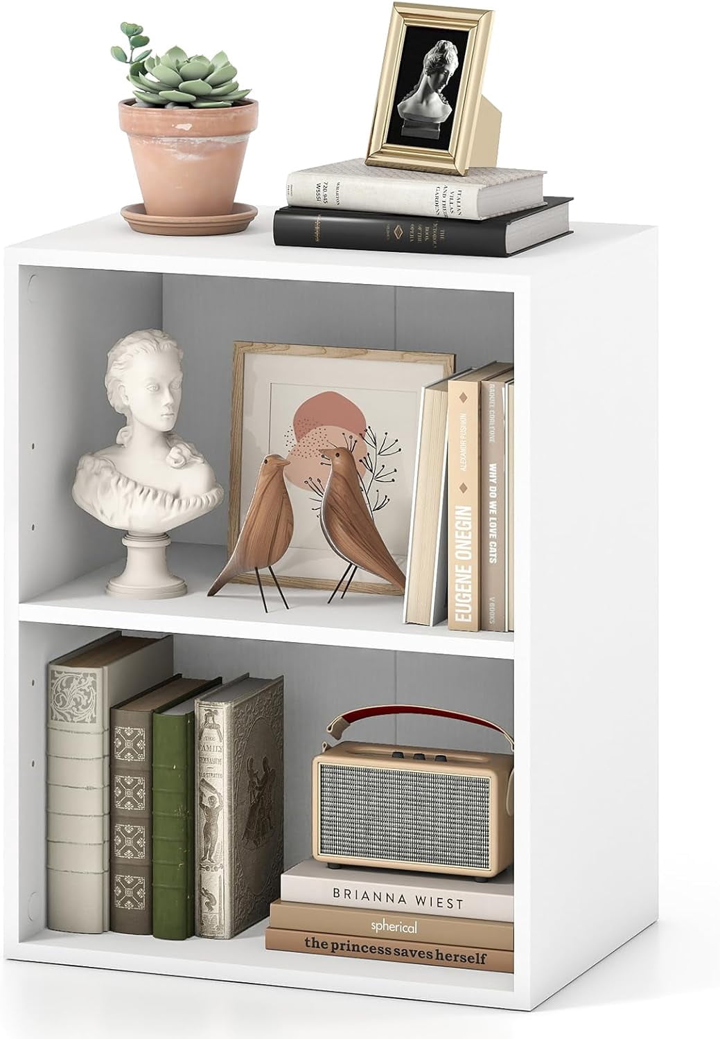 2-Cube Bookshelf and Bookcase, 2-Layer Storage Shelf w/Large-Capacity ...
