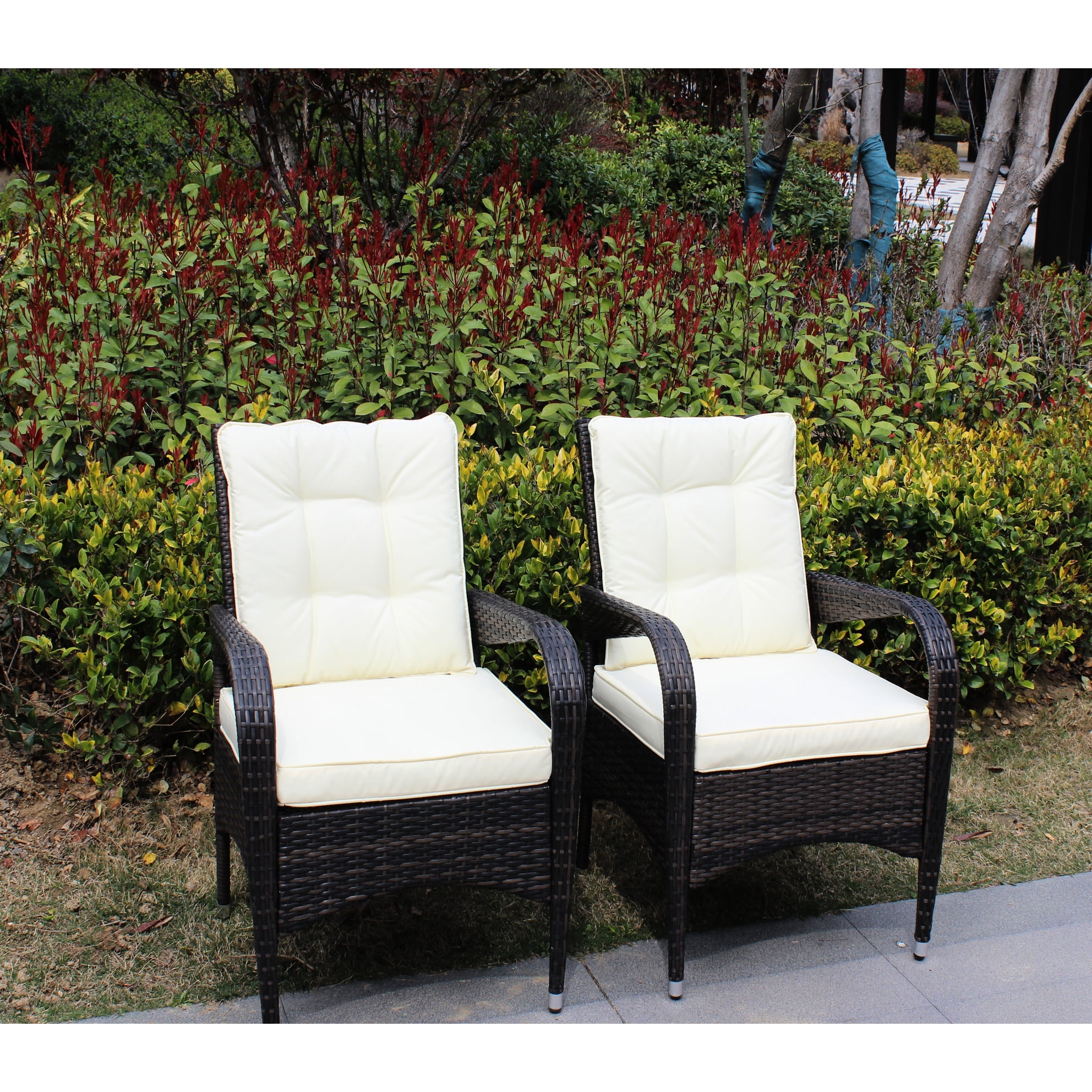 2 Dining Chairs With Beige Cushions - Fashionable Outdoor Seating Pe ...