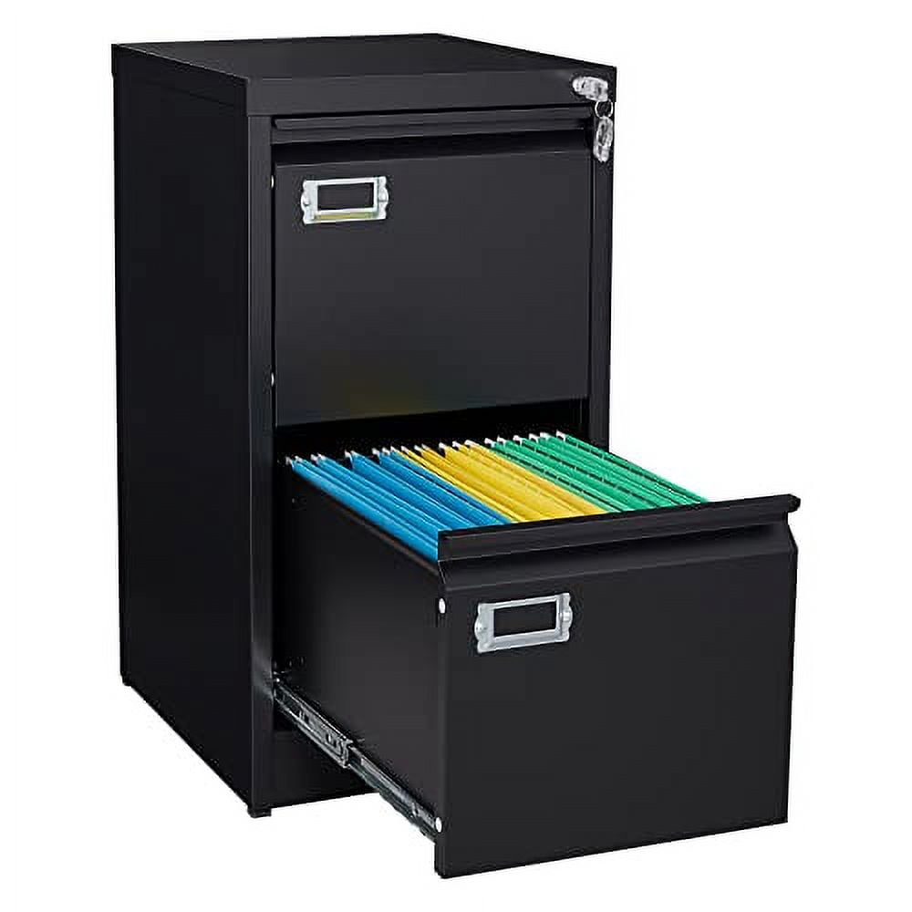 2 Drawer File Cabinet, Filing Cabinets for Home Office, Metal Vertical ...