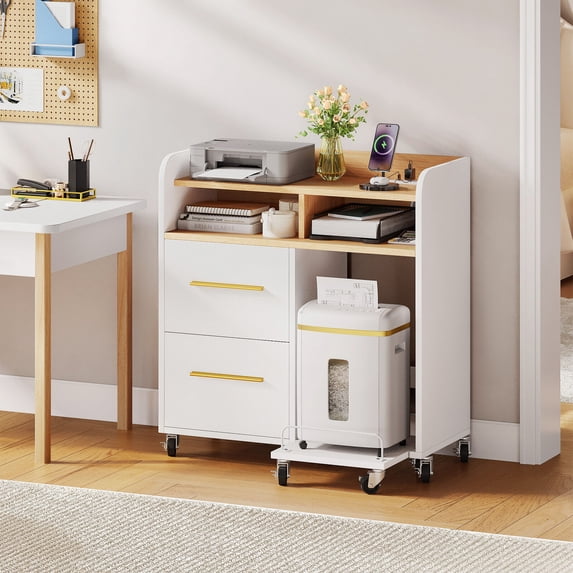 2-Drawer File Cabinet Lateral Filing Cabinet Office Printer Stand with ...