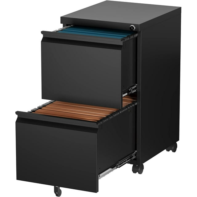 2 Drawer File Cabinet with Lock, Rolling File Cabinets for Home Office ...