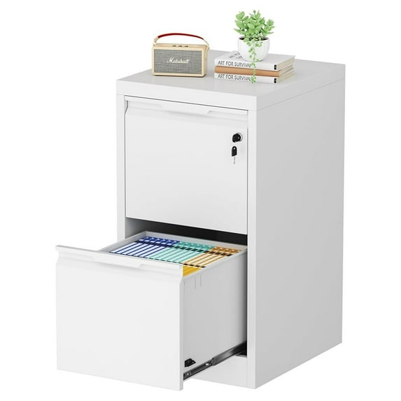 2-Drawer File Cabinet Locking, Metal Filing Cabinet for Home Office ...