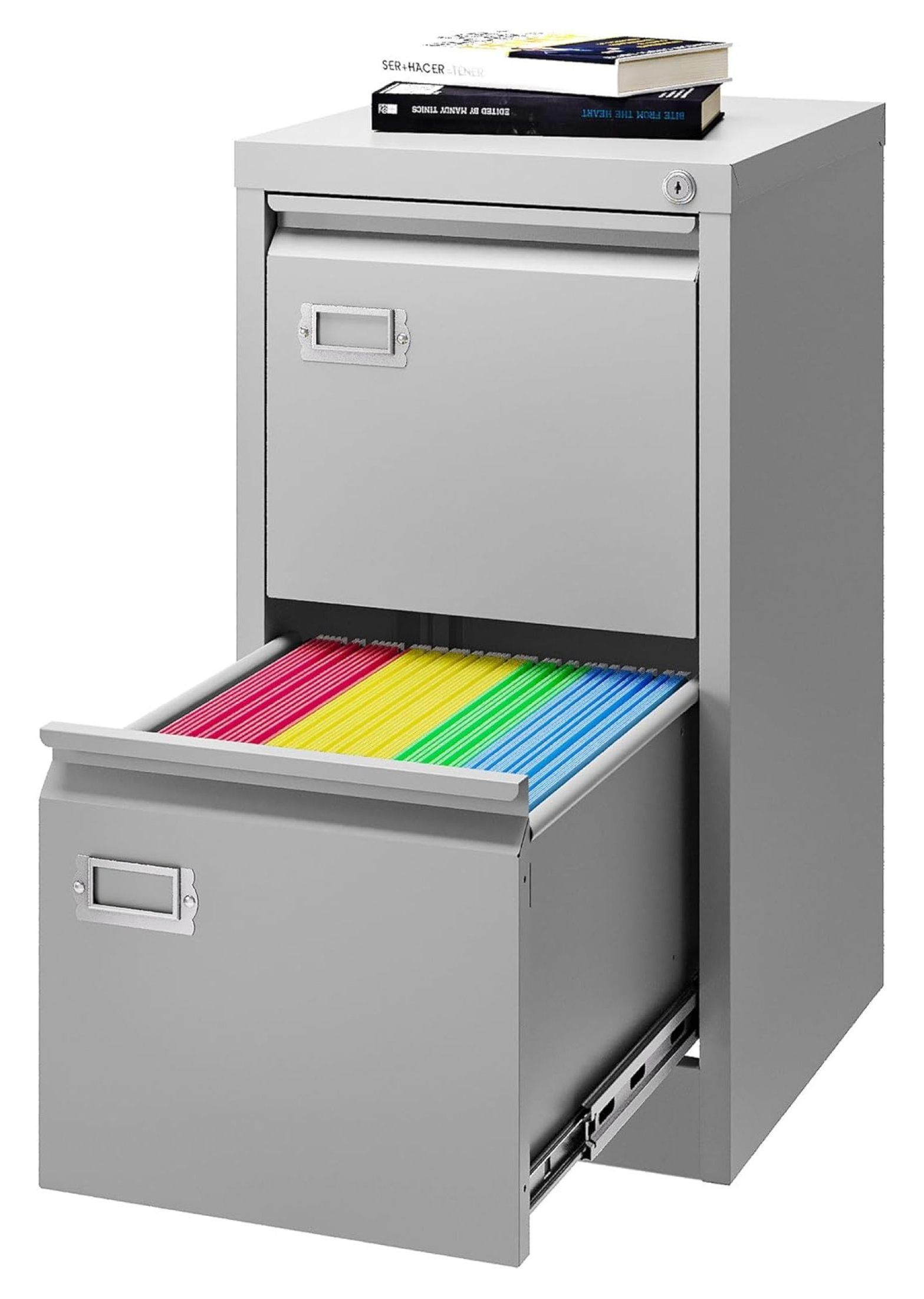 2 Drawer File Cabinet, Metal File Cabinets with Lock, 18 Deep Vertical ...