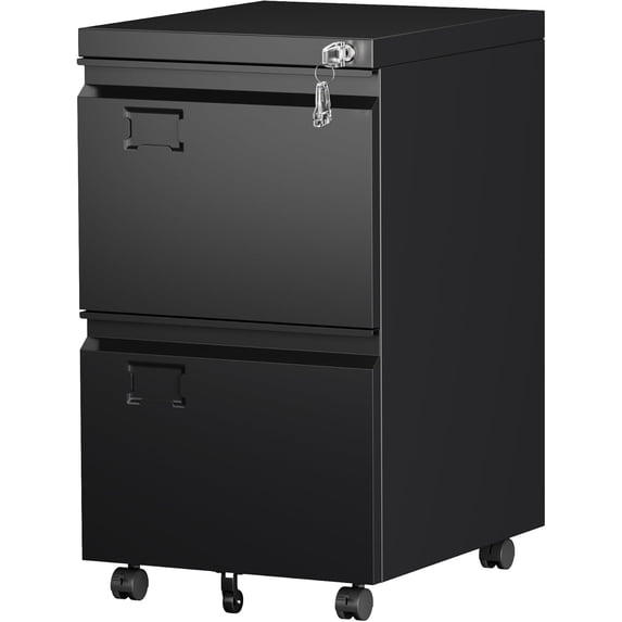 2 Drawer File Cabinet with Wheels, Under Desk Drawer with Lock Name ...