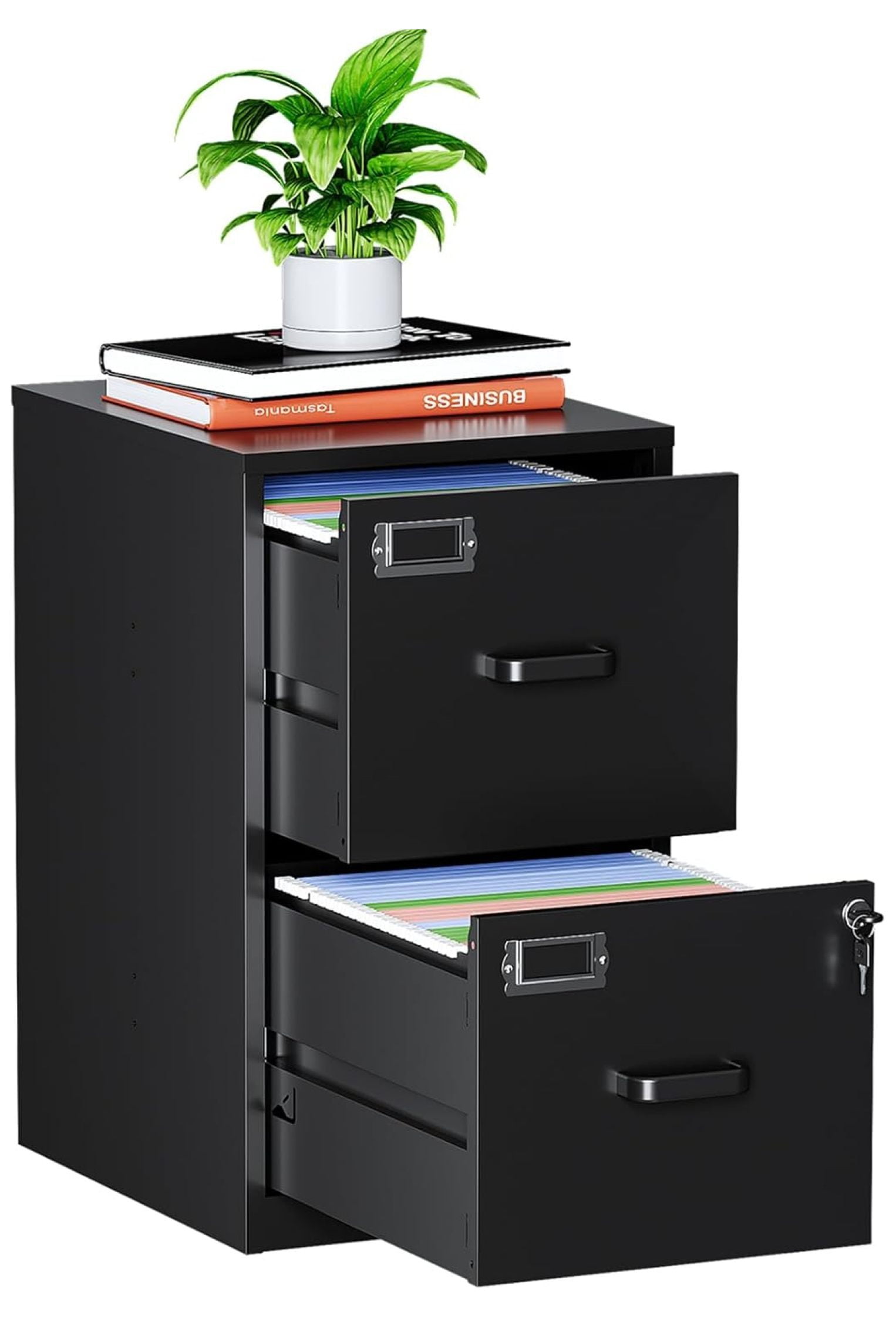 2 Drawer Filing Cabinet with Lock, Metal Vertical File Cabinets for ...