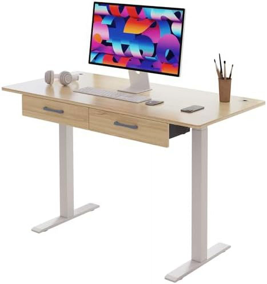 2-Drawer Height Adjustable 45" Electric Standing Desk - Upgraded Ultra ...