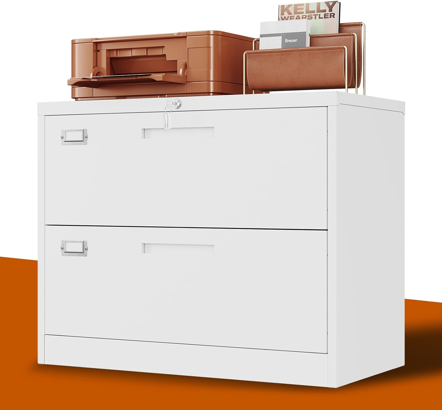 2 Drawer Lateral File Cabinet Metal Filing Storage Cabinet with Lock ...