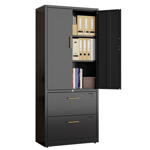 2 Drawer Metal File Storage Cabinet with 2 Lockable Doors, Multi ...