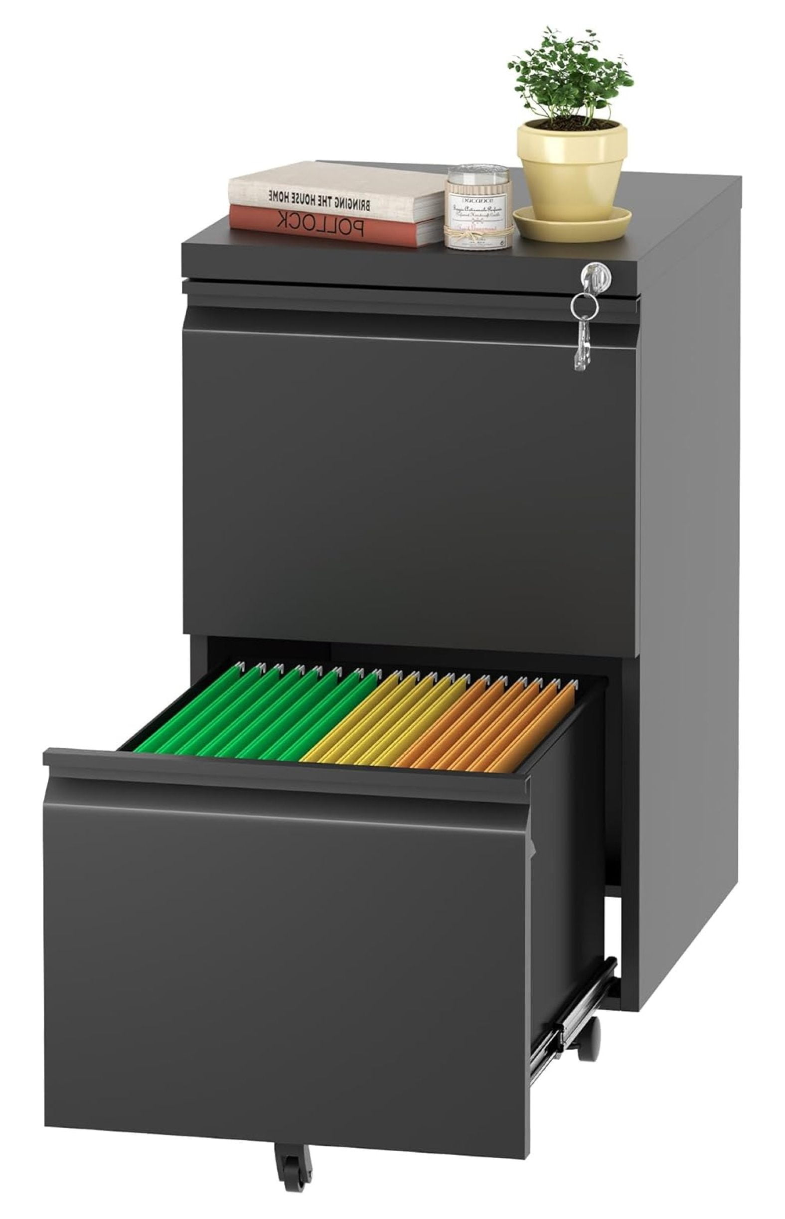 2 Drawer Mobile File Cabinet, Filing Cabinet Home Office for Letter ...