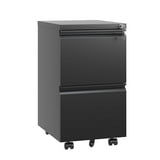 2 Drawer Mobile File Cabinet with Lock for Legal/Letter/A4 Size, Fully ...