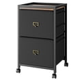 2 Drawer Rolling File Cabinet, Underdesk Vertical Filing Cabinet with ...