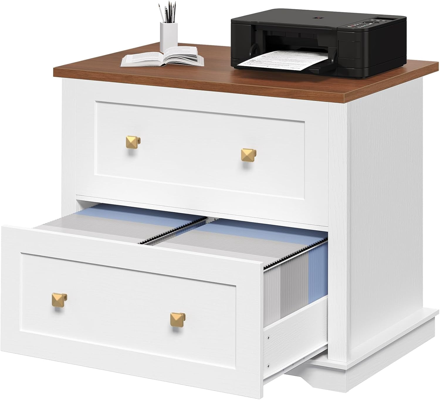 2 Drawers Lateral File Cabinet, Farmhouse Wooden Filing Printer Stand ...