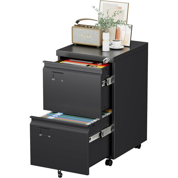 2 Drawers Metal File Cabinet with Lock, Under Desk Mobile Filing ...