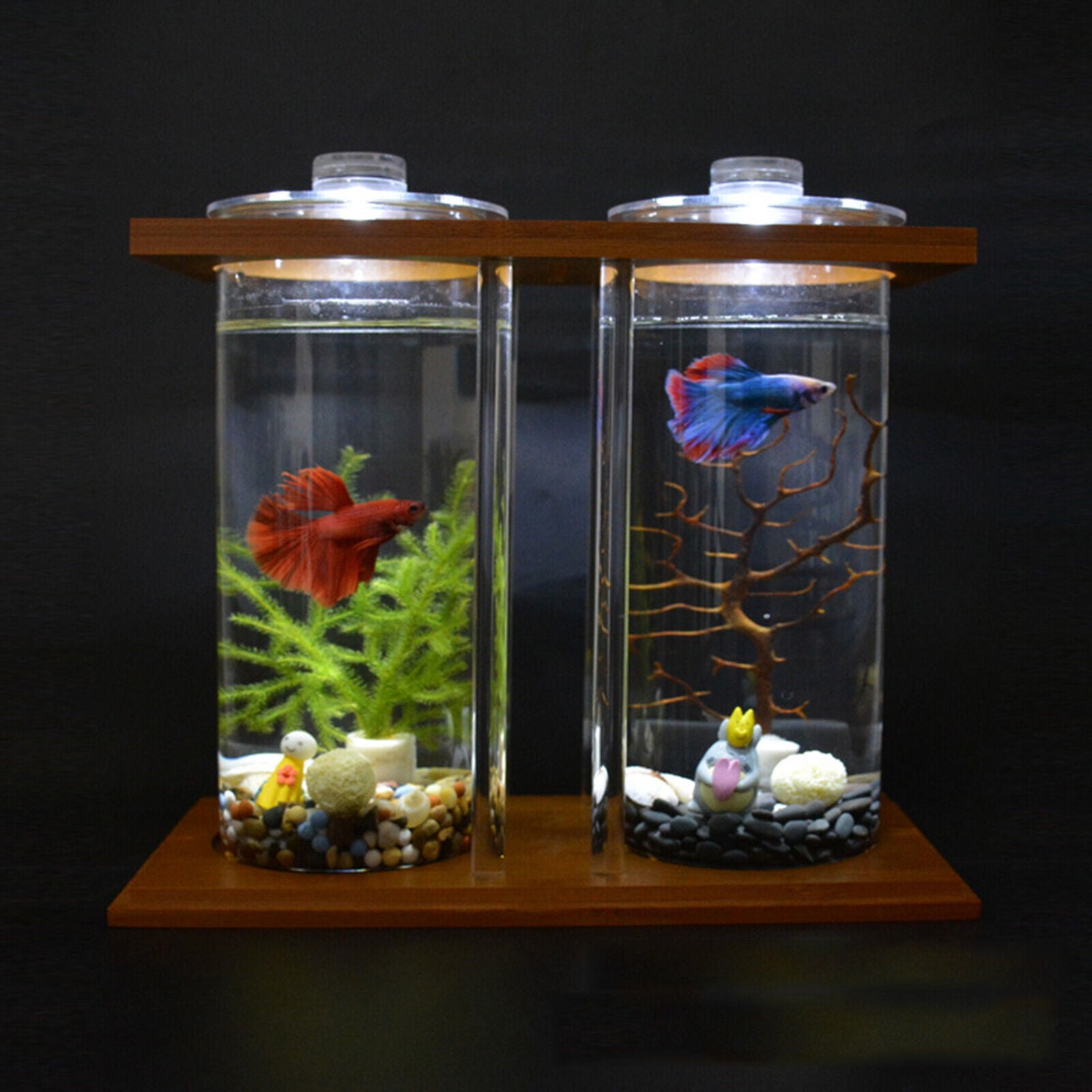 Glass Betta Fish Tank Bamboo Base Mini Aquarium Fish Tank For Desktop ...