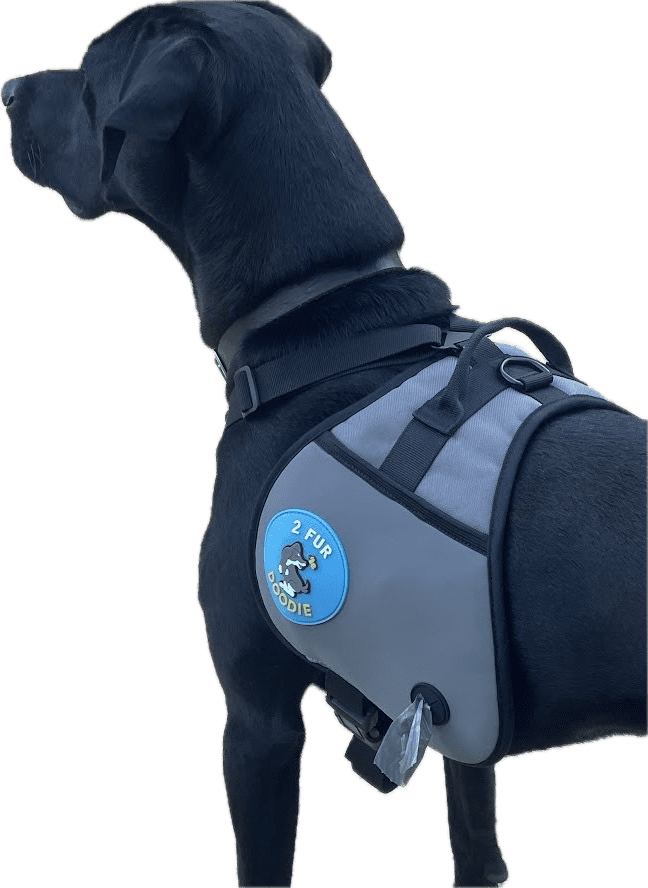 2 Fur Doodie: Never Carry Dog Poop Again with the All-in-One Dog Harness Solution! Size M-L ...