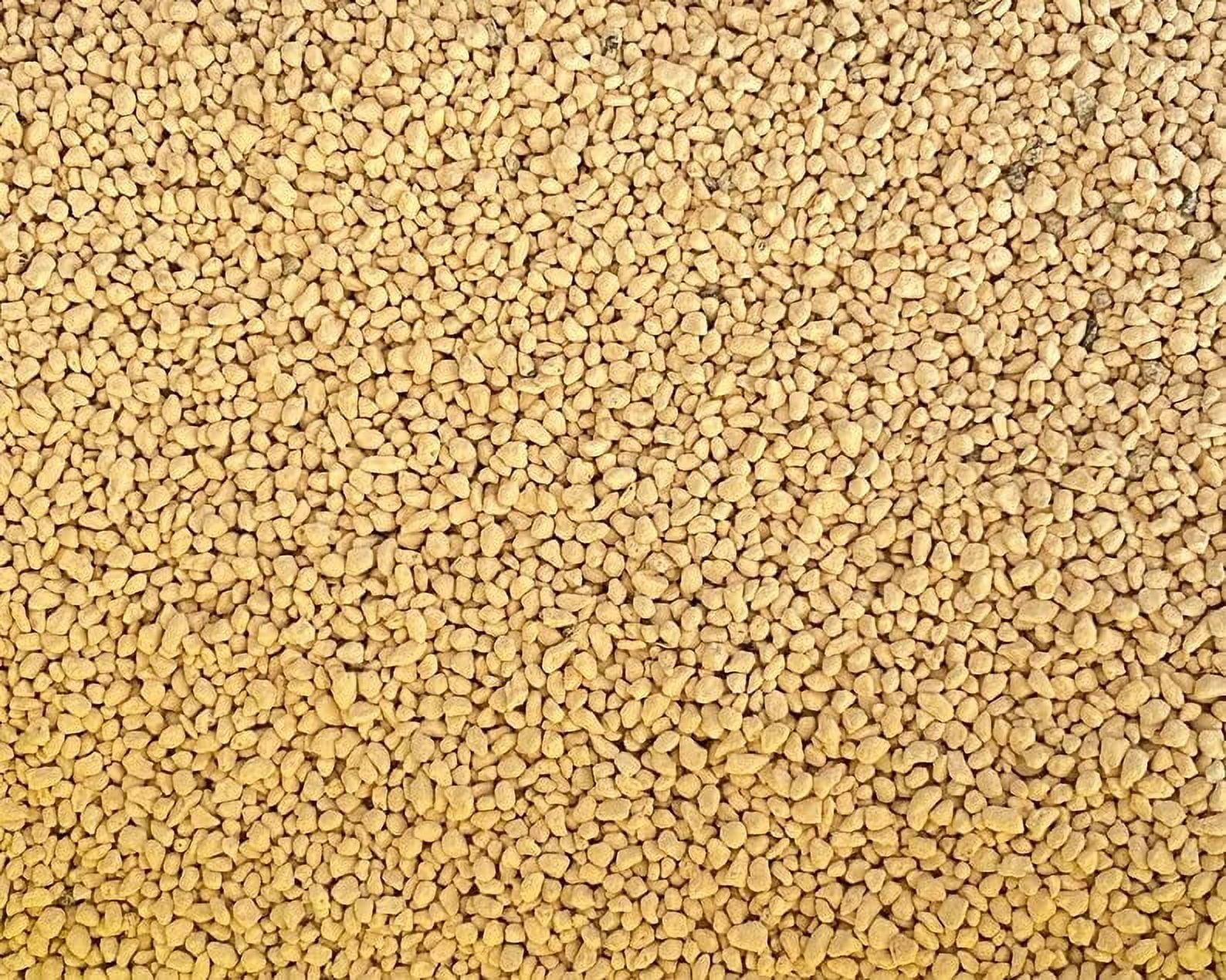 2 Gal. Genuine Japanese Kanuma Soil for Bonsai & Acid Loving Plants - Shohin Grain, 2GKANUMAM ...