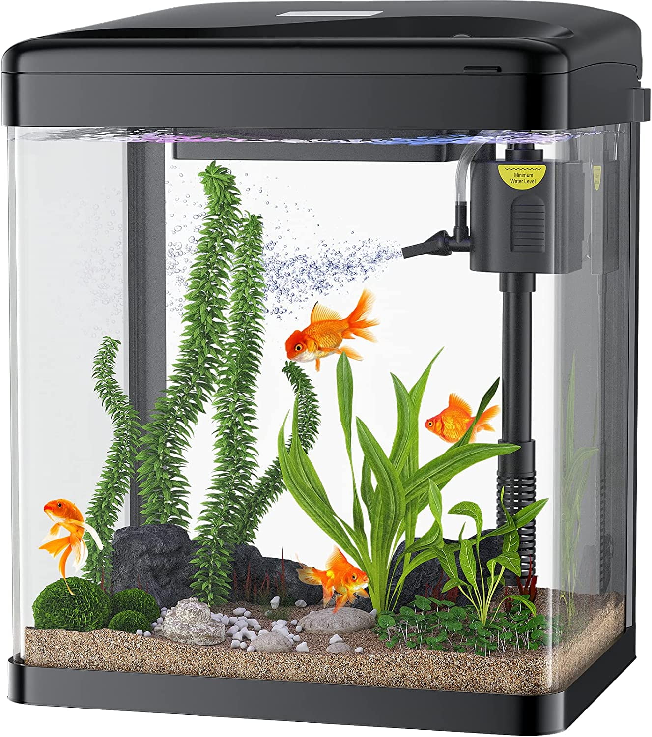2 Gallon Fish Tank, Glass Aquarium with Filter Light, Small Fish ...