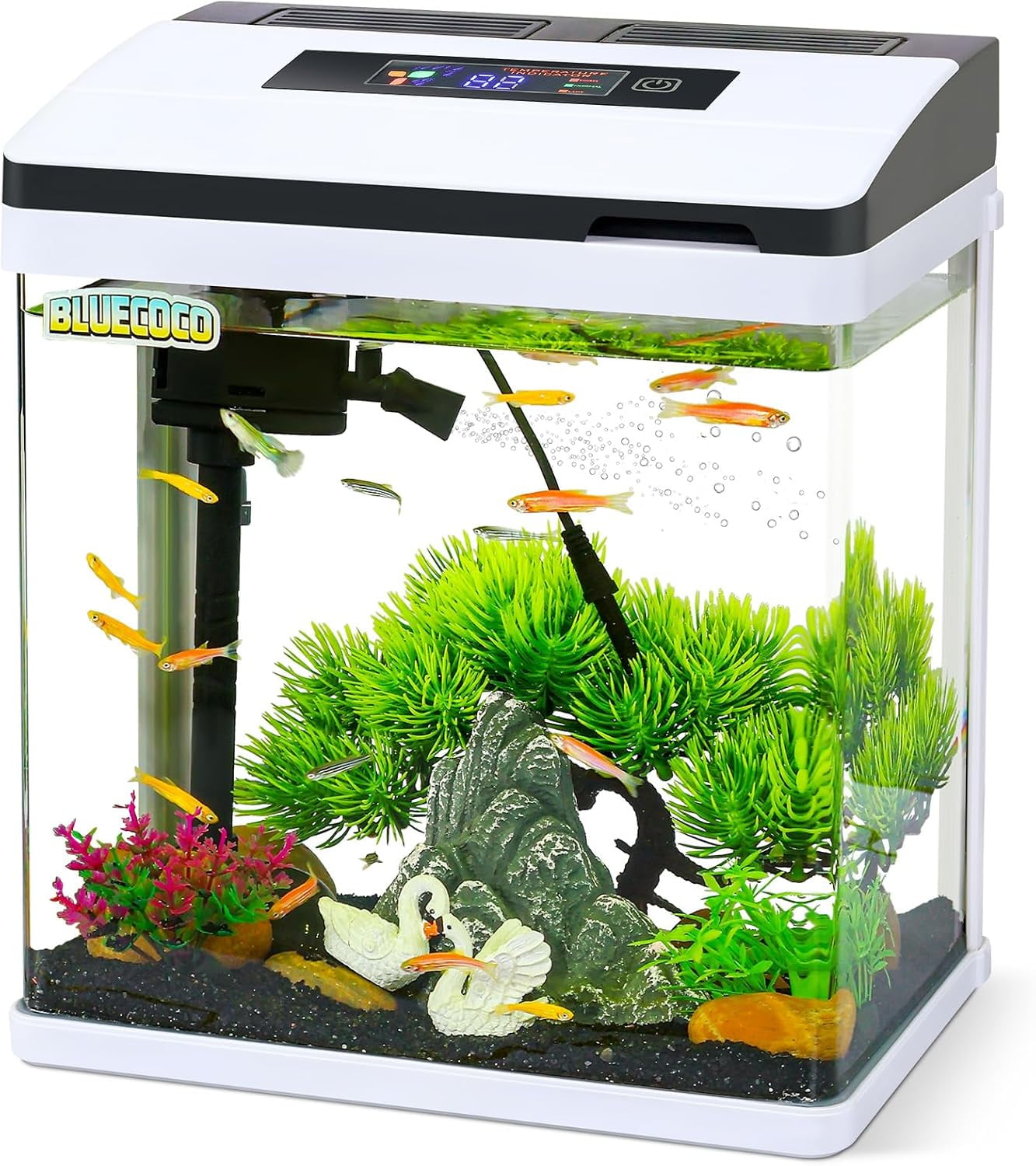 2 Gallon Glass Aquarium Fish Tank Starter Kit with Temperature for ...