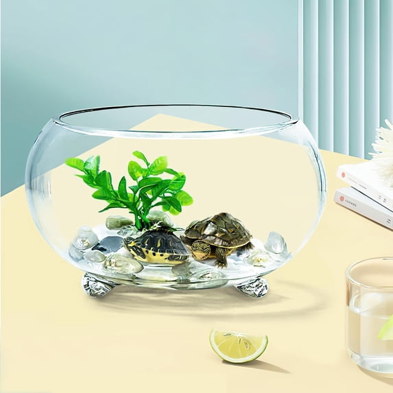 2 Gallon Glass Fish Tank, Sturdy Nicely Betta Fish Bowl, Small ...